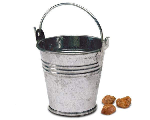 Miniature Metal Pails Silver (Set of 12) | My Wedding Favors MWF